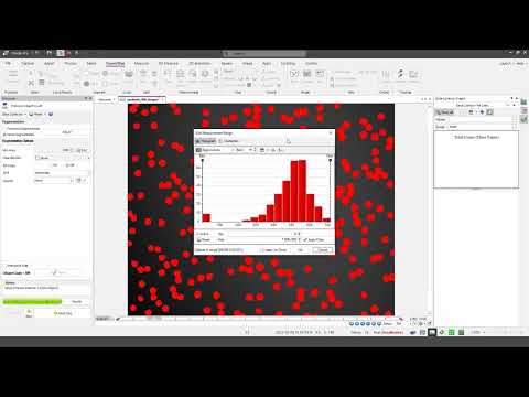 Object Count | Media Cybernetics, Inc.