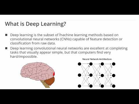 Intro to Image-Pro AI Deep Learning | Media Cybernetics, Inc.