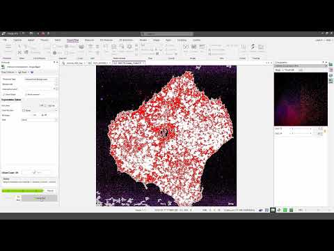 Colocalization | Media Cybernetics, Inc.